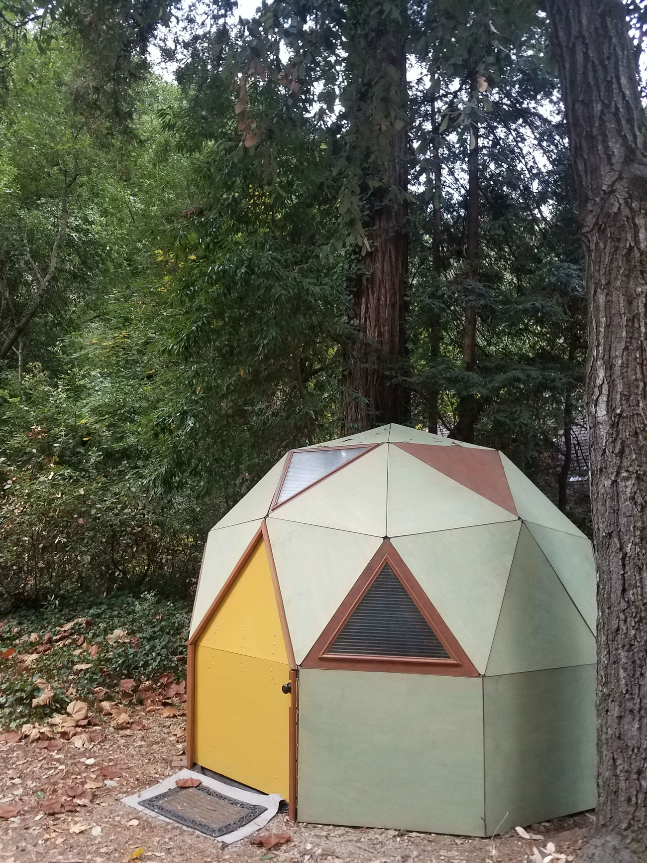 Geodesic Dome Blog | Future of the Free